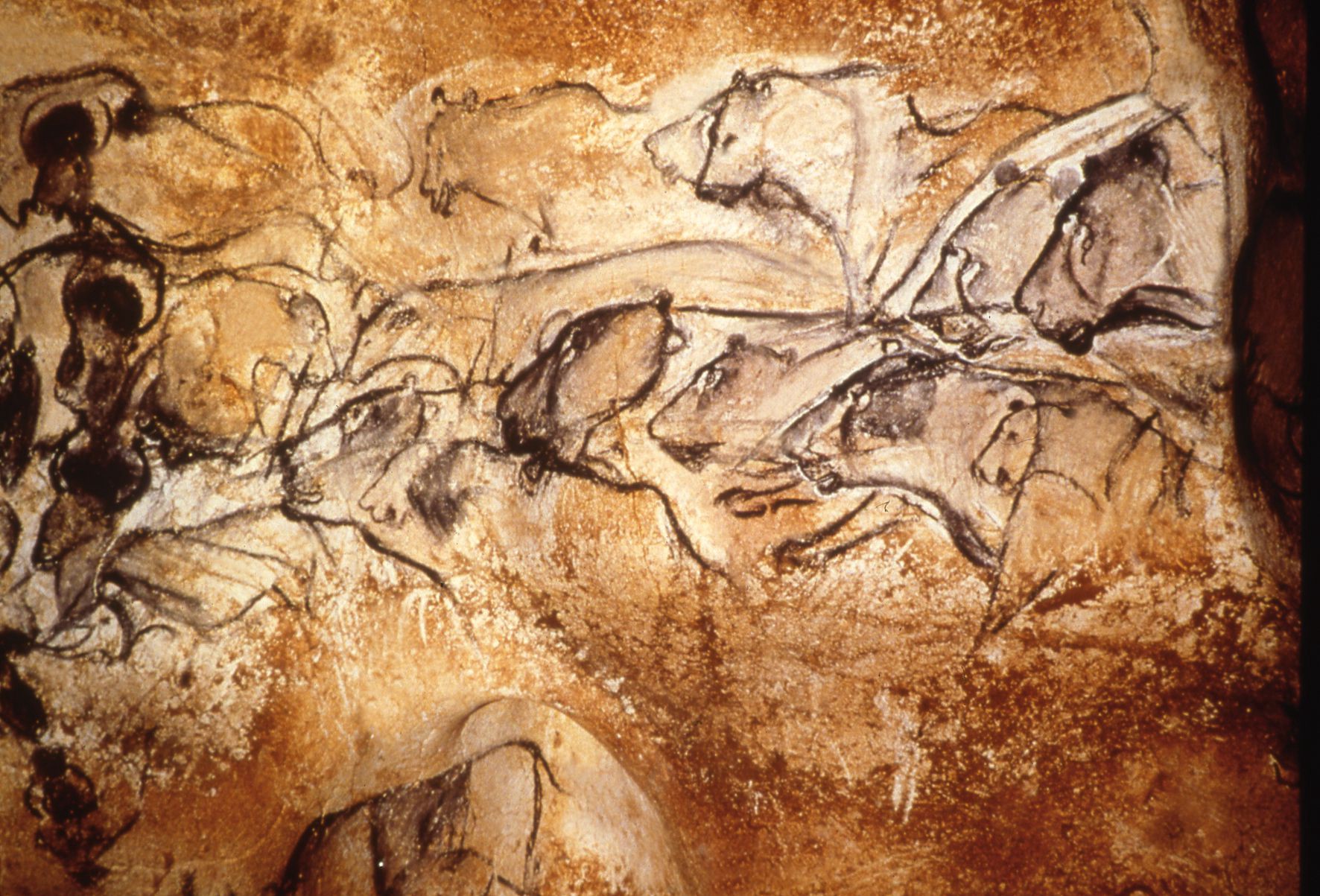 Paleolithic Cave Paintings Appear To Be The Earliest Examples Of Paleolithic Cave Paintings Appear To Be The Earliest Examples Of