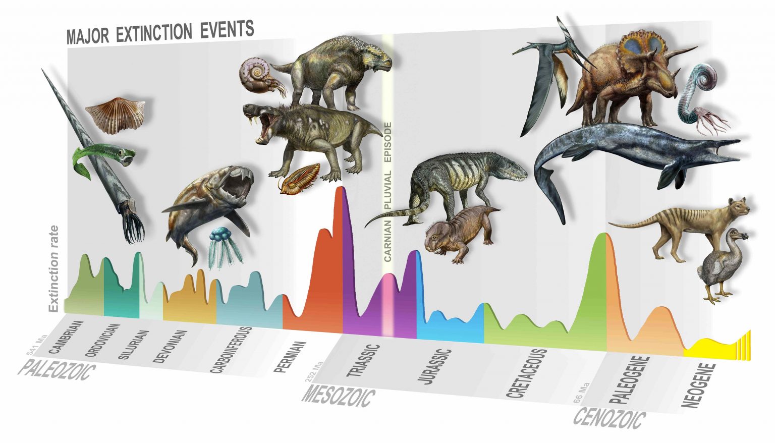 Charting Earth s Many Mass Extinctions Blog Of The Long Now